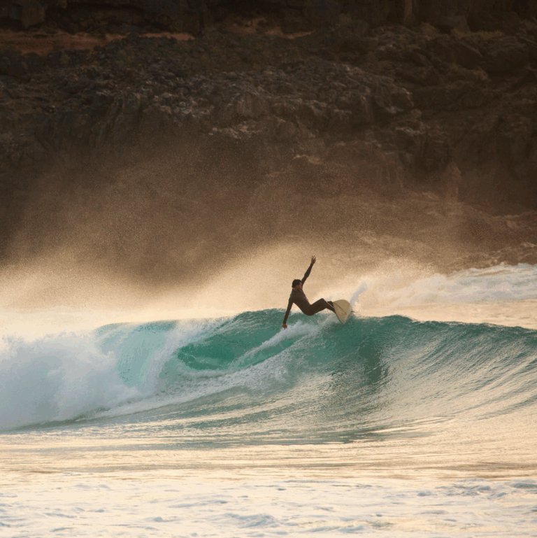 Our Portfolio - Sageview Capital