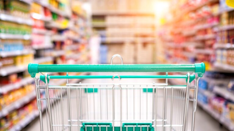 Our Portfolio - Sageview Capital