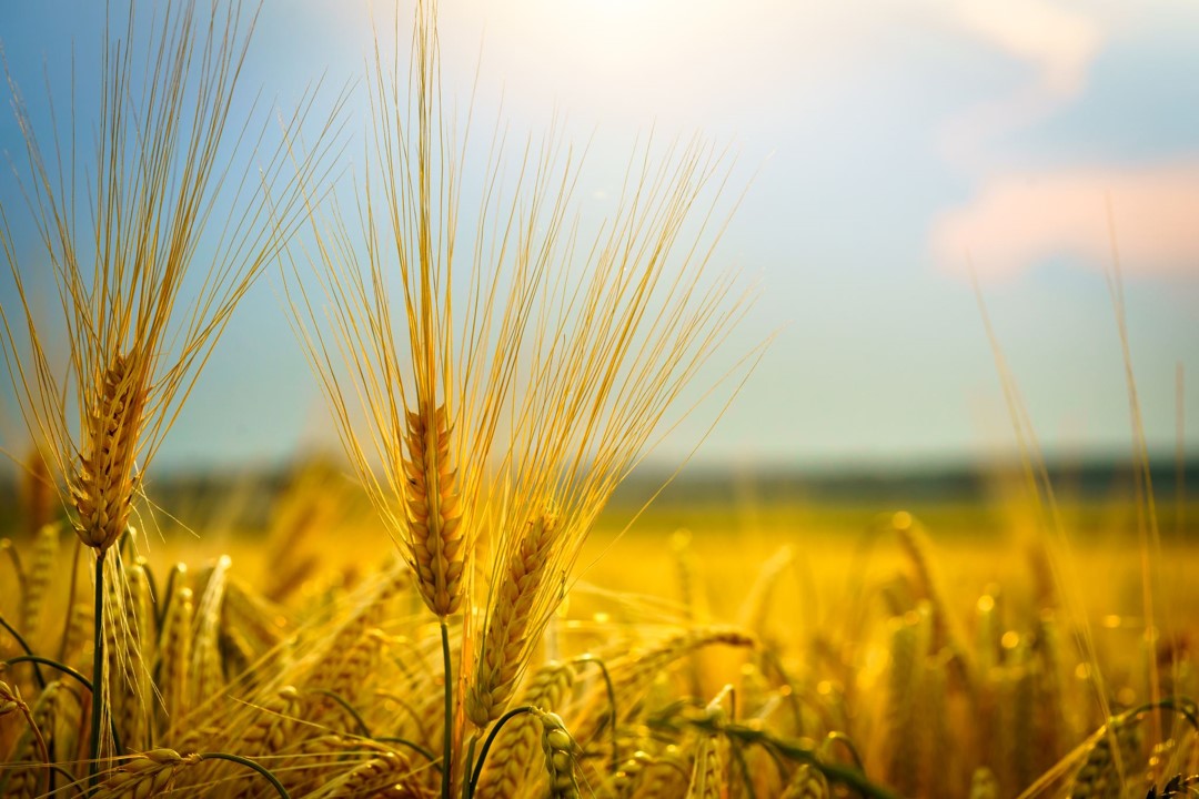 The New Frontier in Wealth Tech - Sageview Capital