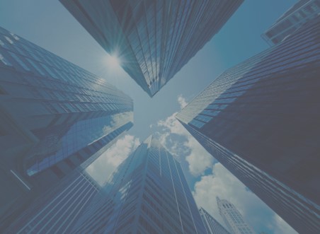 Our Portfolio - Sageview Capital