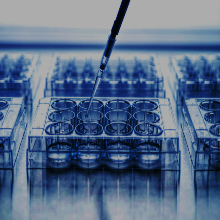 Our Portfolio - Sageview Capital