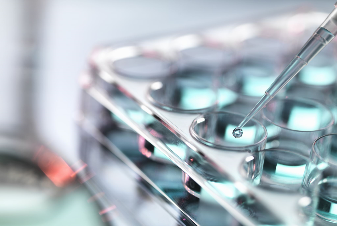 Why we backed Uncountable: Accelerating Innovation with Modern R&D ...